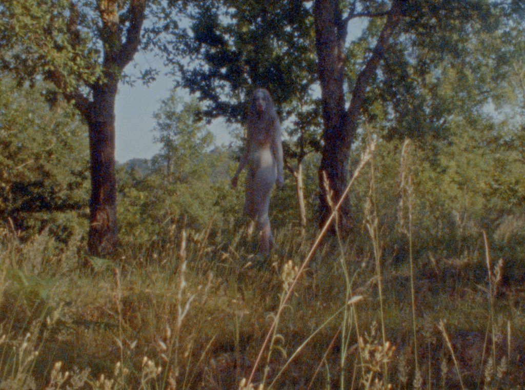 05_ESPECTROS DA TERRA 2018 Daniel Fawcett & Clara Pais - Exploding Appendix