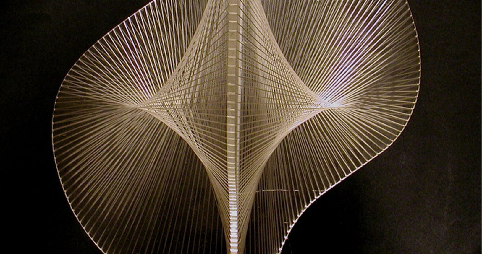 Linear Construction in Space No. 2 - Exploding Appendix