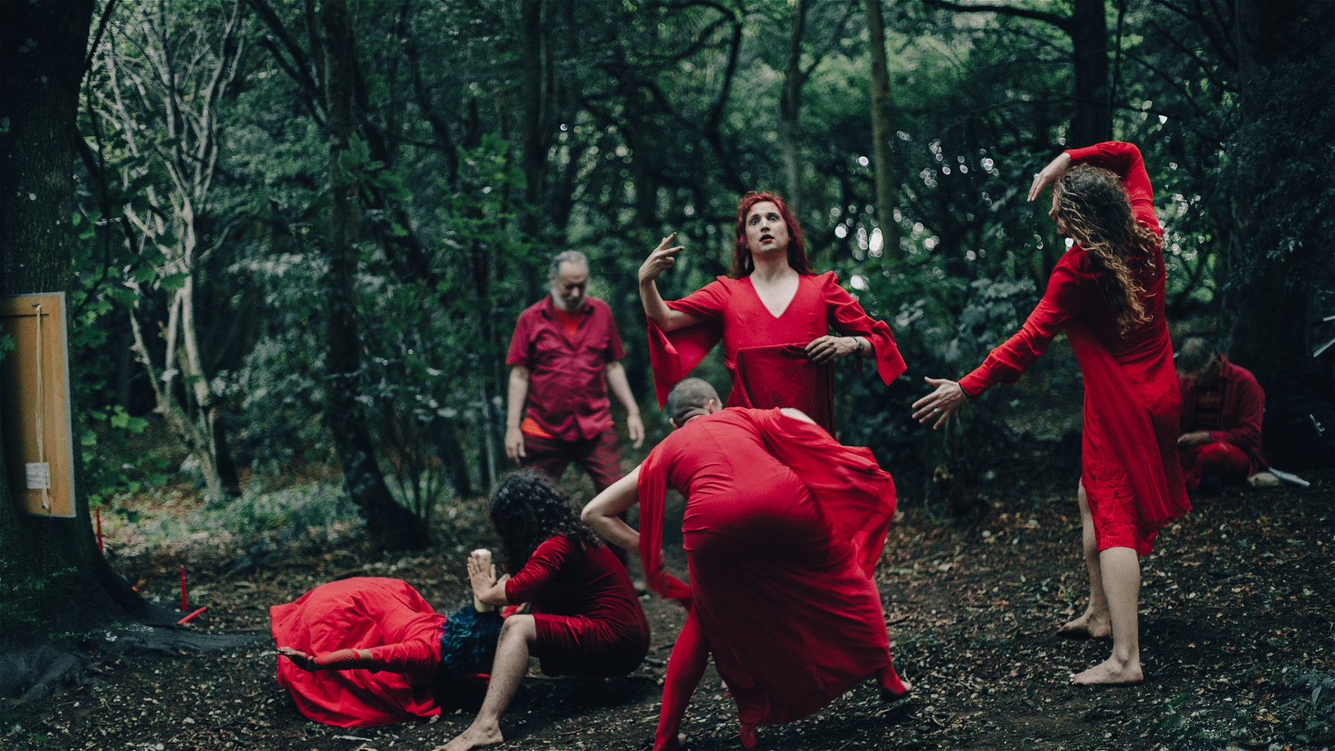 Disrupted Rhythms Shows May 2024 – Exploding Appendix